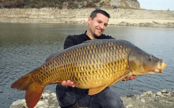 中国最大的淡水鱼是什么_能长多大-第3张图片-山城妙识 中国最大的淡水鱼是什么_能长多大-第3张图片-山城妙识