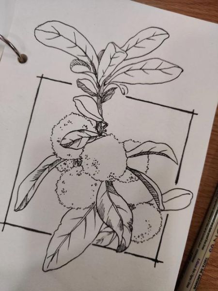 杨梅卡通图片怎么画_杨梅简笔画教程-第2张图片-山城妙识