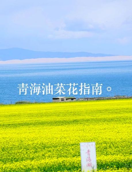 青海旅游最佳时间_青海湖几月份去最美-第3张图片-山城妙识 青海旅游最佳时间_青海湖几月份去最美-第3张图片-山城妙识