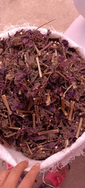 紫苏价格多少钱一斤_紫苏批发价和零售价区别-第1张图片-山城妙识