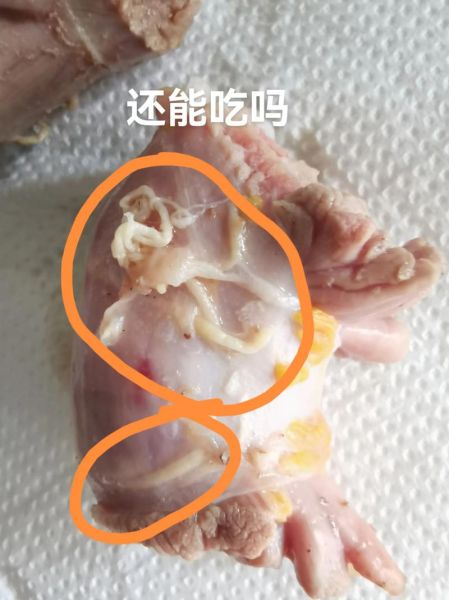 鸭脖子的危害真假_致癌吗-第3张图片-山城妙识