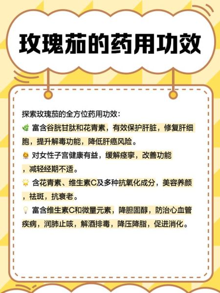 玫瑰茄的功效与作用及食用方法_玫瑰茄怎么泡水喝-第1张图片-山城妙识