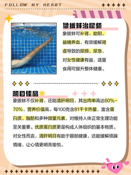 象拔蚌的功效与禁忌_什么人不能吃-第2张图片-山城妙识