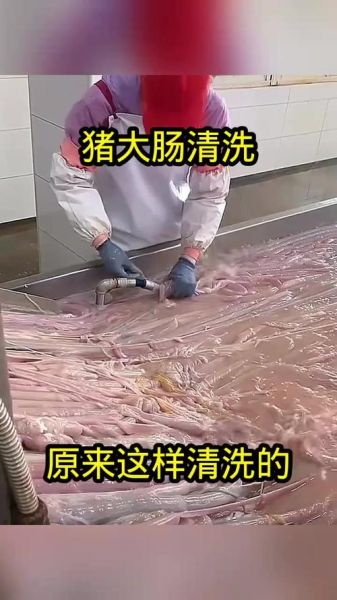 猪大肠怎么清洗_猪大肠清洗的正确方法-第2张图片-山城妙识 猪大肠怎么清洗_猪大肠清洗的正确方法-第2张图片-山城妙识