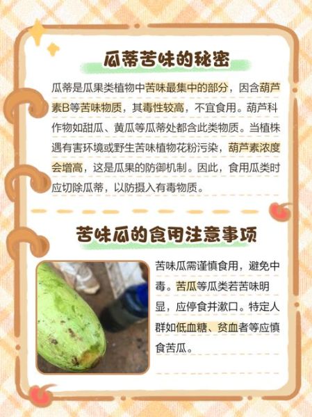 晚上吃苦瓜有什么坏处_为什么晚上不能吃苦瓜-第1张图片-山城妙识 晚上吃苦瓜有什么坏处_为什么晚上不能吃苦瓜-第1张图片-山城妙识