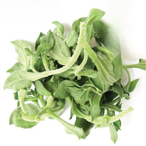 冰草沙拉酱用什么味_冰草沙拉酱怎么选-第2张图片-山城妙识