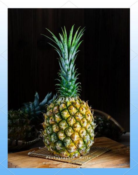 菠萝手机12个摄像头值得买吗_拍照效果怎么样-第2张图片-山城妙识