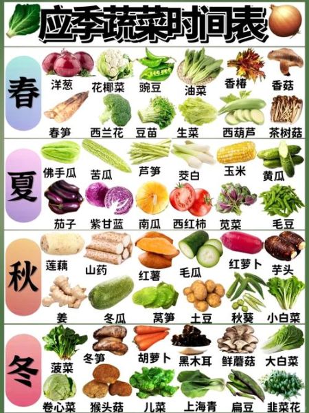 9月时令蔬菜有哪些_9月家常菜推荐-第1张图片-山城妙识