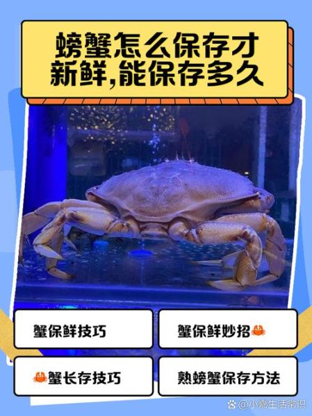 螃蟹买回来怎么保存_活蟹能放几天-第2张图片-山城妙识