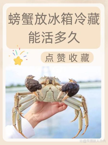 螃蟹买回来怎么保存_活蟹能放几天-第3张图片-山城妙识
