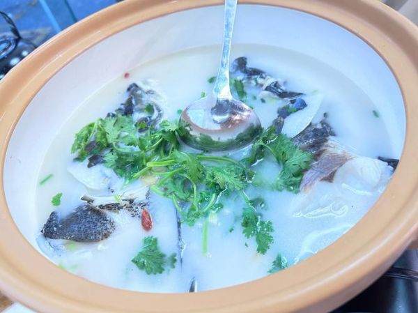 鱼头汤怎么熬好喝又营养_鱼头汤熬多久最鲜-第1张图片-山城妙识