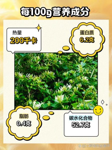 喝金银花水禁忌_什么人不能喝金银花水-第3张图片-山城妙识 喝金银花水禁忌_什么人不能喝金银花水-第3张图片-山城妙识