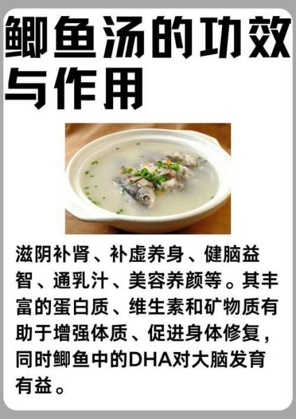 鲫鱼汤的营养价值_鲫鱼汤怎么炖最营养-第1张图片-山城妙识