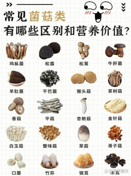 香菇和花菇哪个营养价值高_区别与选购指南-第3张图片-山城妙识