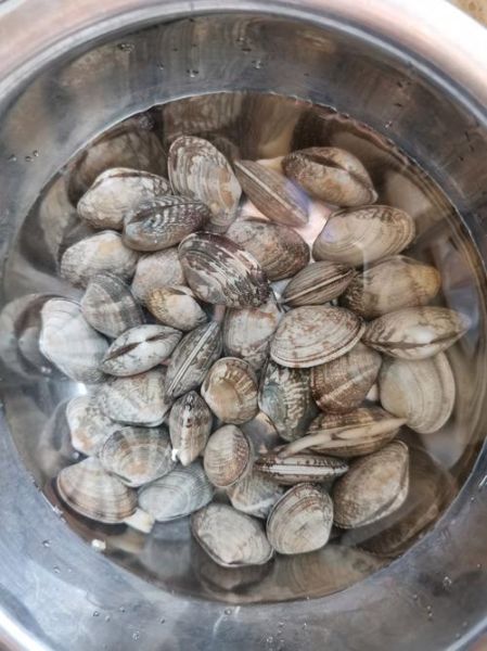 麻辣爆炒花甲怎么做_花甲去沙最快方法-第3张图片-山城妙识