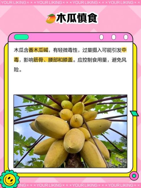 木瓜不能和什么一起吃_木瓜的吃法禁忌有哪些-第3张图片-山城妙识 木瓜不能和什么一起吃_木瓜的吃法禁忌有哪些-第3张图片-山城妙识