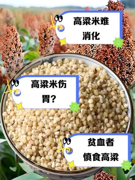 孕妇能吃高粱米吗_孕妇吃高粱米对胎儿好吗-第3张图片-山城妙识