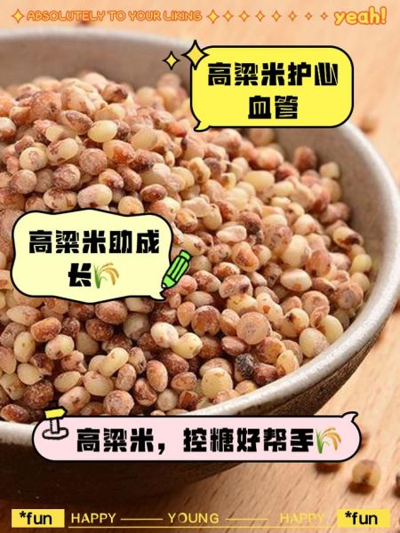 孕妇能吃高粱米吗_孕妇吃高粱米对胎儿好吗-第2张图片-山城妙识