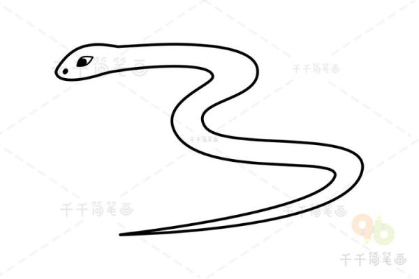海蛇简笔画怎么画_海蛇简笔画步骤-第3张图片-山城妙识
