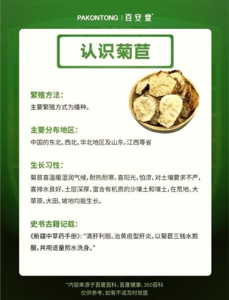 菊苣的功效与作用有哪些_菊苣能降尿酸吗-第1张图片-山城妙识 菊苣的功效与作用有哪些_菊苣能降尿酸吗-第1张图片-山城妙识