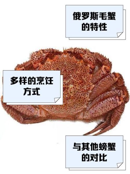毛蟹怎么挑选_毛蟹图片怎么看公母-第3张图片-山城妙识