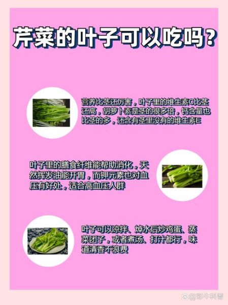 芹菜叶子能吃吗_为什么芹菜叶子不能吃-第1张图片-山城妙识
