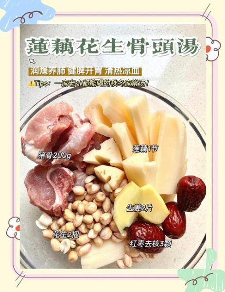 大骨莲藕花生汤怎么做_莲藕花生汤要炖多久-第1张图片-山城妙识
