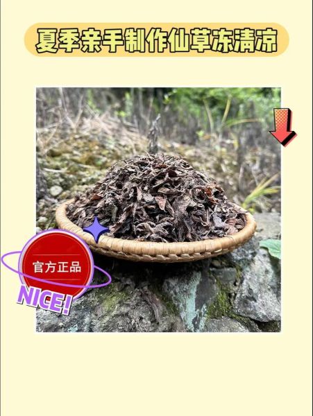 仙草冻是什么_仙草冻的做法和功效-第1张图片-山城妙识