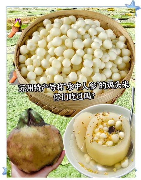 鸡头米是什么_鸡头米怎么吃-第3张图片-山城妙识