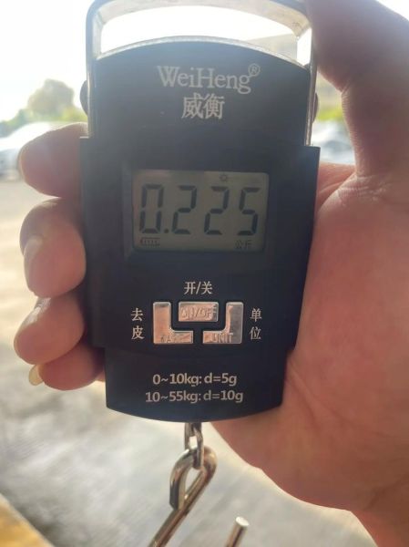 海鲫鱼多少钱一斤_海鲫鱼价格行情-第1张图片-山城妙识