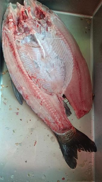 酒糟鱼怎么做_酒糟鱼腌制多久-第3张图片-山城妙识