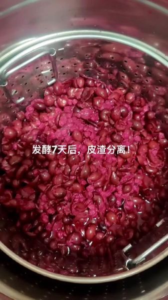 葡萄酒发酵几天搅拌一次_需要每天搅拌吗-第3张图片-山城妙识 葡萄酒发酵几天搅拌一次_需要每天搅拌吗-第3张图片-山城妙识