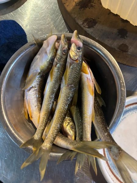 水煮清汤鱼怎么做_水煮清汤鱼的做法窍门-第1张图片-山城妙识