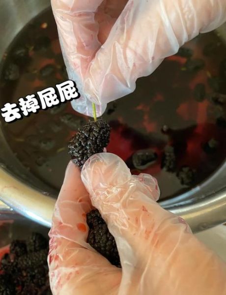 桑椹酱怎么吃_桑椹酱的做法大全-第2张图片-山城妙识