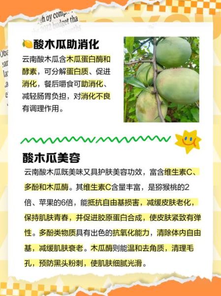 酸木瓜图片长什么样_酸木瓜的功效与作用有哪些-第1张图片-山城妙识