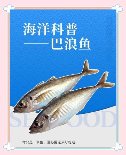 巴浪鱼的营养价值_巴浪鱼适合什么人吃-第1张图片-山城妙识