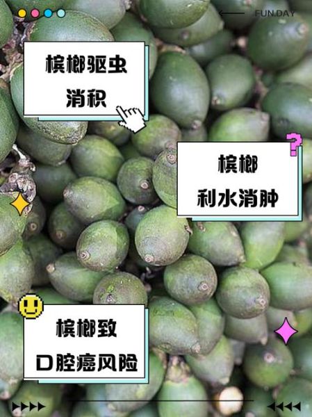 经常吃槟榔有什么危害_槟榔致癌是真的吗-第3张图片-山城妙识