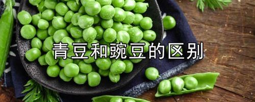 青豆是什么豆_青豆和豌豆的区别-第2张图片-山城妙识