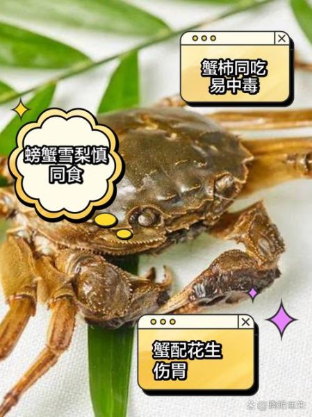 吃大闸蟹不能和什么一起吃_大闸蟹相克食物有哪些-第2张图片-山城妙识