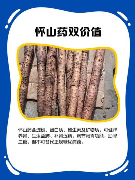 怀山药多少钱一斤_怀山药价格走势-第1张图片-山城妙识