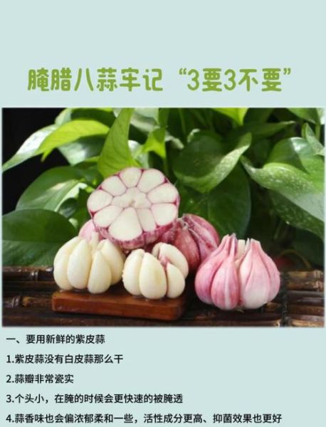腊八蒜怎么腌制才能又脆又绿_腊八蒜变绿秘诀-第3张图片-山城妙识 腊八蒜怎么腌制才能又脆又绿_腊八蒜变绿秘诀-第3张图片-山城妙识