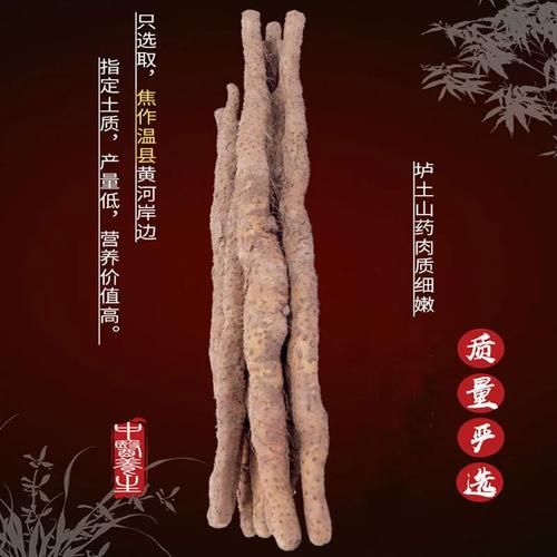 怀山药多少钱一斤_怀山药价格走势-第2张图片-山城妙识