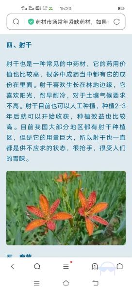 射干的功效与作用_射干怎么泡水喝-第2张图片-山城妙识