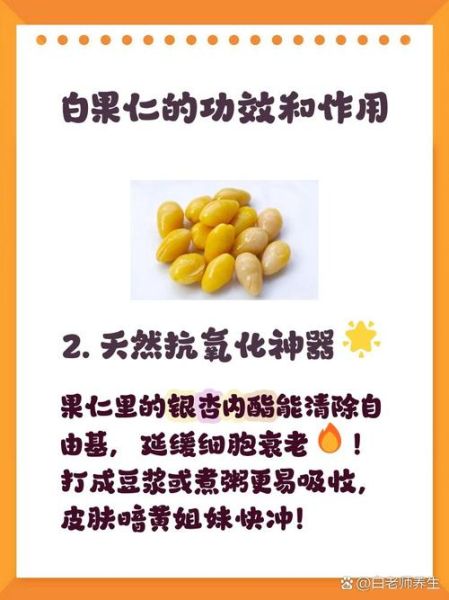 白果仁怎么吃_白果仁的功效与作用-第2张图片-山城妙识