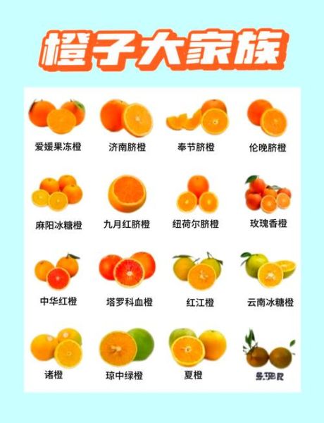 柑橘品种排名_哪个品种最好吃-第2张图片-山城妙识