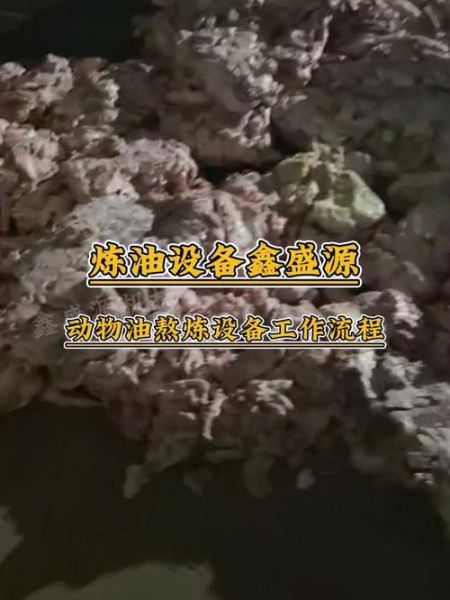 炼一吨动物油利润多少_如何计算成本-第3张图片-山城妙识