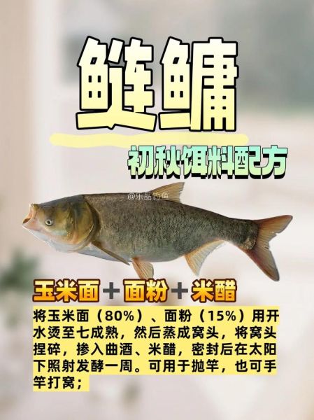 钓鲢鱼用什么饵料_钓鲢鱼饵料配方大全-第1张图片-山城妙识 钓鲢鱼用什么饵料_钓鲢鱼饵料配方大全-第1张图片-山城妙识