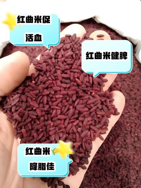 红曲米怎么上色_红曲米上色比例是多少-第3张图片-山城妙识 红曲米怎么上色_红曲米上色比例是多少-第3张图片-山城妙识