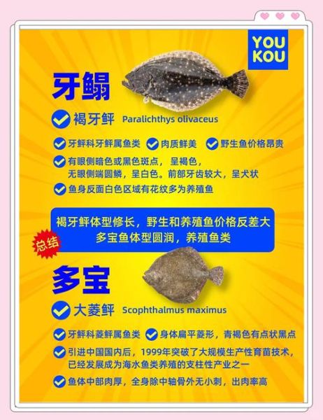 牙鲆鱼多少钱一斤_牙鲆鱼价格影响因素-第1张图片-山城妙识