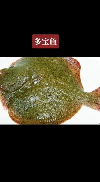 牙鲆鱼多少钱一斤_牙鲆鱼价格影响因素-第3张图片-山城妙识